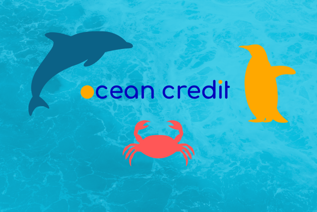 Ocean Credit: Audited report for 2024 - Iuvo - Purchase receivables. We ...
